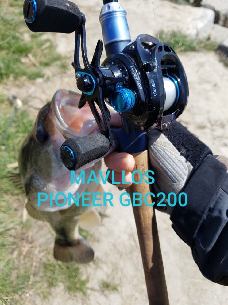 알리발 베이트릴 GBC200 배스낚시 사용기 : 네이버 블로그