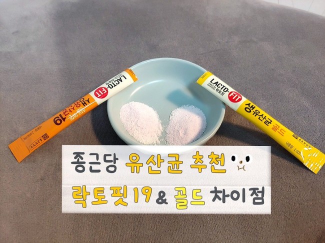 유산균추천 코스트코영양제 종근당 락토핏 생유산균19 구입생유산균 골드와의 차이점 네이버 블로그