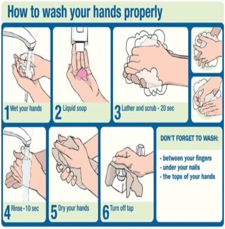 손씻는 방법 ㅡ : 네이버 블로그