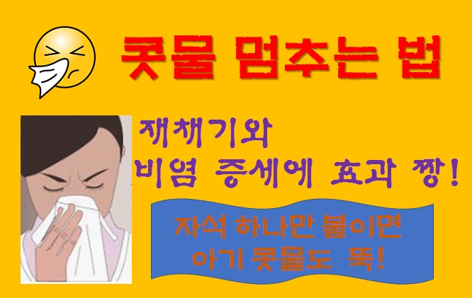 콧물 멈추는법 재채기와 비염 증세에도 효과 짱 네이버 블로그