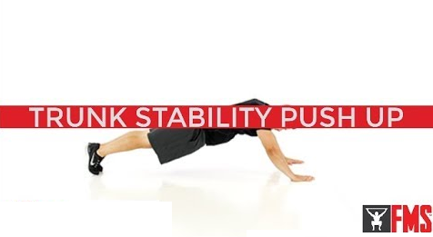 FMS- 몸통 안정성 푸쉬업 움직임 평가 Trunk Stability Push-up (TSPU ) : 네이버 블로그