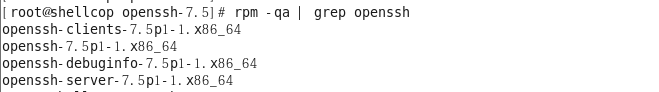 [Linux/OpenSSH] 업데이트 방법 : 네이버 블로그