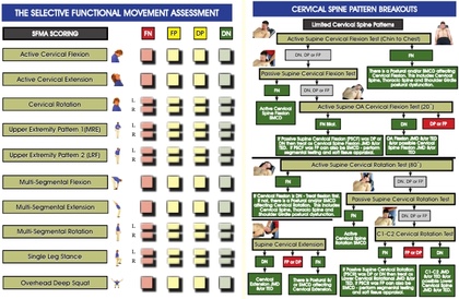 SFMA thoracic rotation test를 통한 교정운동 : 네이버 블로그