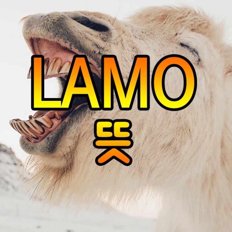 LMAO 뜻 LOL LMFAO ROFL 정확하게 알려드립니다 : 네이버 블로그