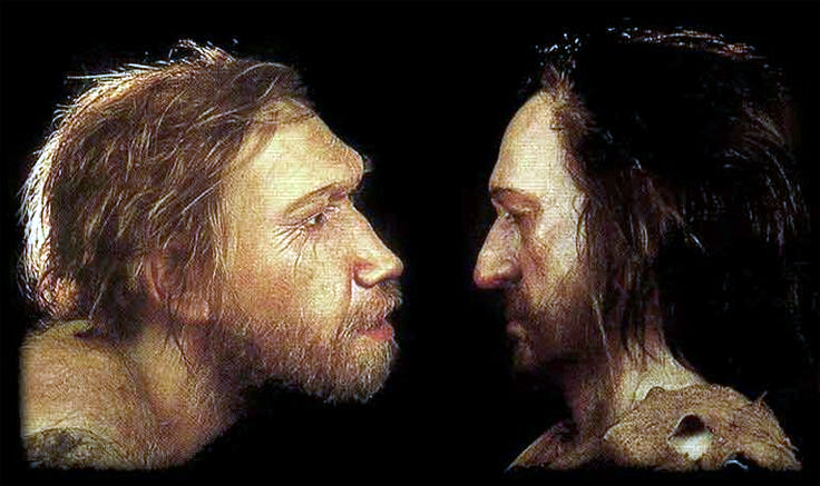 6년 전, 호모 네안데르탈렌시스(Homo Neanderthalensis) VS 호모 사피엔스(Homo Sapiens) : 네이버 블로그