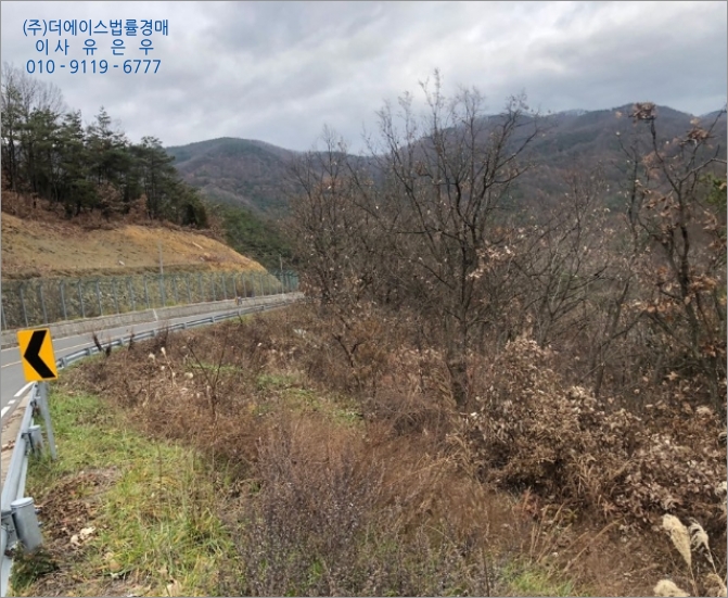 Andand경북 의성군토지임야경매투자문의 2019타경10960 의성군 토지임야경매♠♠경북 의성군 안평면 삼춘리 명도대행