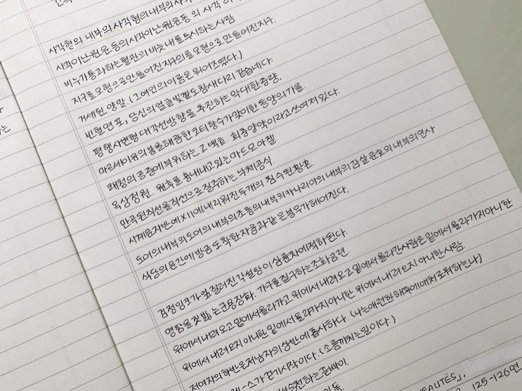 원영대학생공부블로그 칩거적인 개강 네이버 블로그