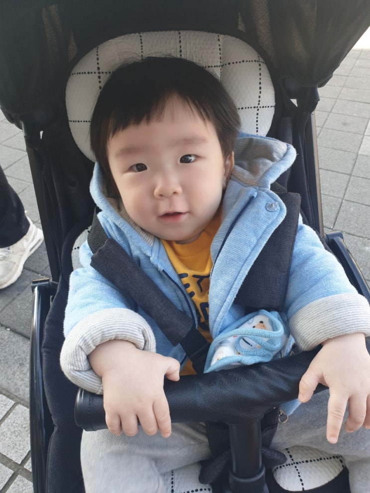 [육아일기 D+273~280] 9개월아기 일상, 간만의 외출, 윗니출몰, 네발로 기기 시작 : 네이버 블로그