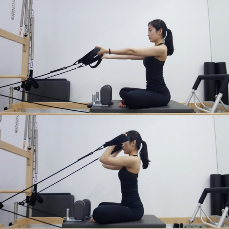 운동 기초 익히기 5 팔 상완이두근 상완삼두근 운동법 답십리필라테스 답십리요가 전농동필라테스 전농동요가