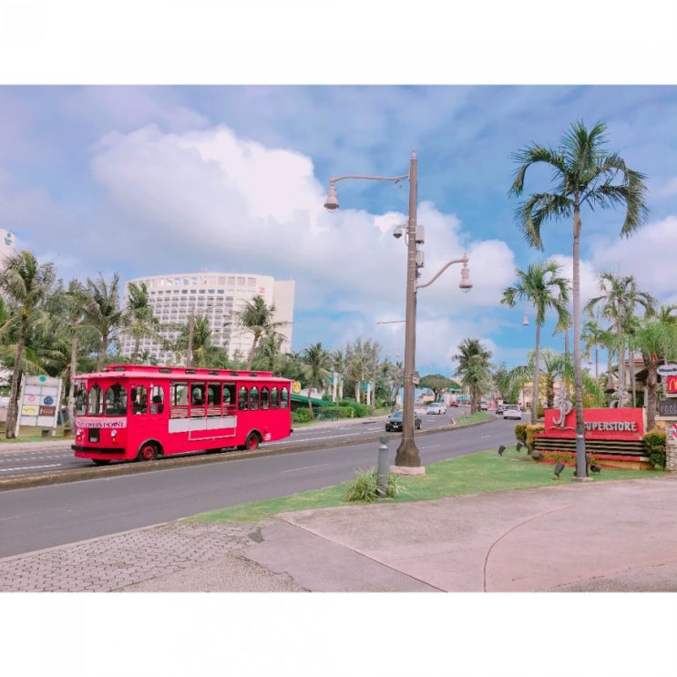 괌 Guam 아이들과 함께하는 괌여행1 괌플라자리조트 돌핀크루즈 후기 네이버 블로그