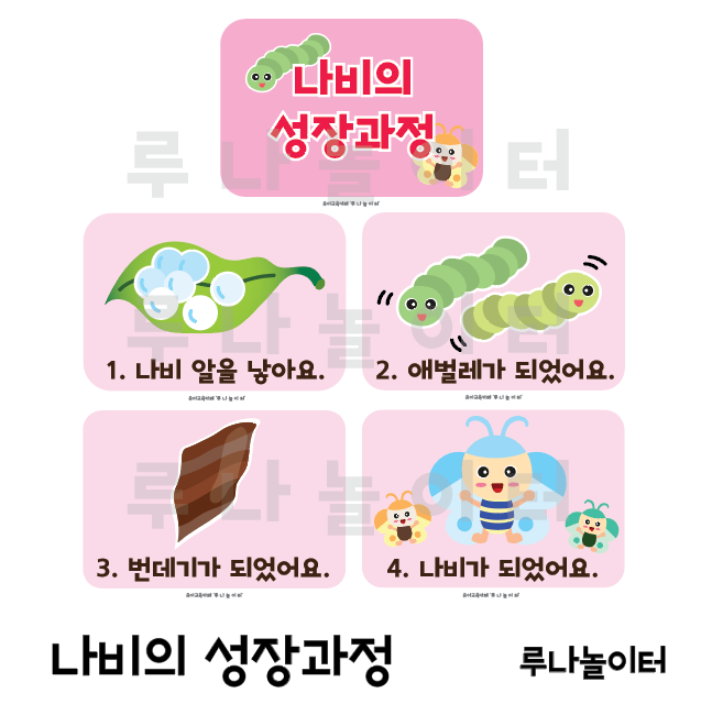 나비의 성장과정 개구리의 성장과정 봄 활동지 봄 그림카드 봄 과학 활동 나비 성장 과정 개구리 성장 과정