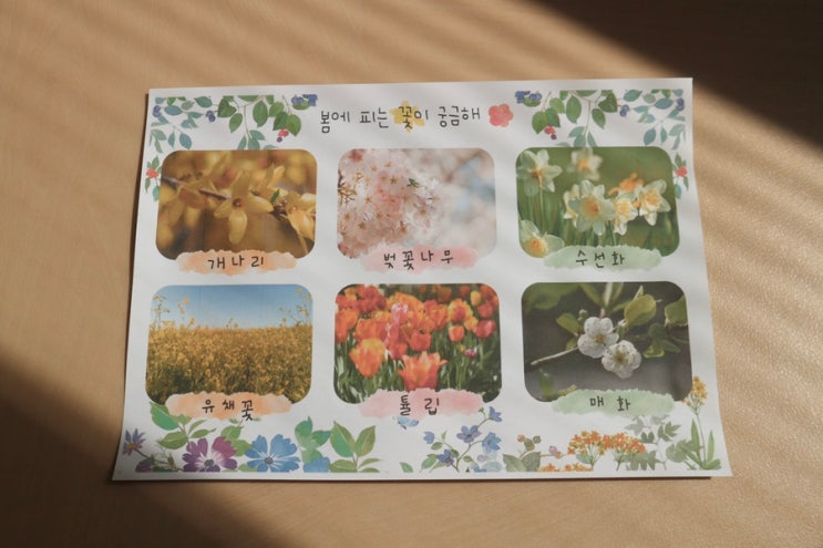 나음쌤 공유마감 새학기 환경구성ღ 자연탐구 봄에 피는 꽃이 궁금해사진자료 유치원어린이집과학탐구관찰봄
