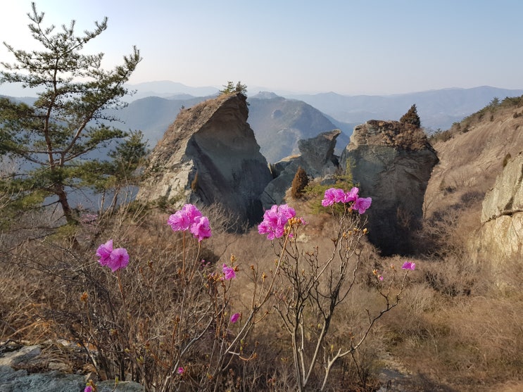 보성 오봉산(Mt.Obong in Bosung) BPL : 네이버 블로그