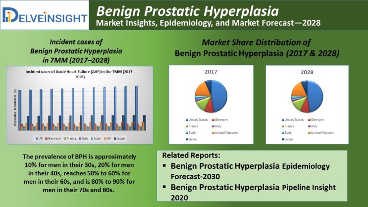 Benign Prostatic Hyperplasia (BPH) Market Size and Share | DelveInsight ...