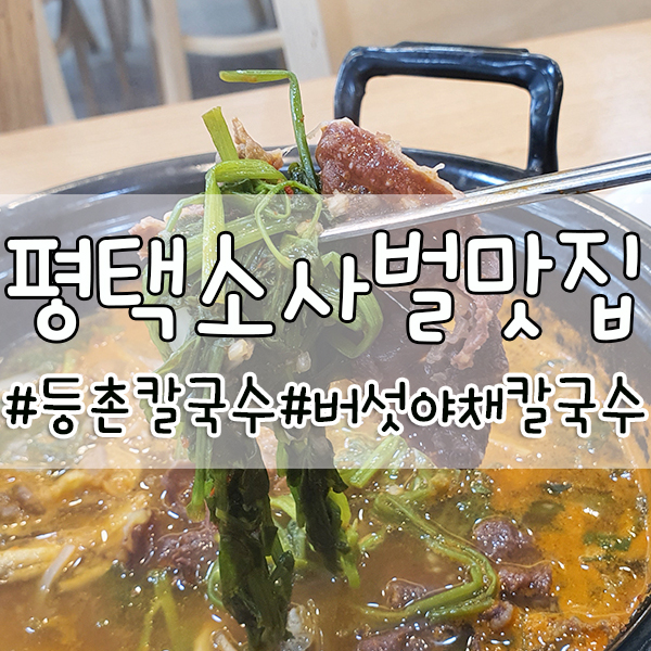 평택 소사벌 맛집 인정 등촌샤브칼국수 네이버 블로그