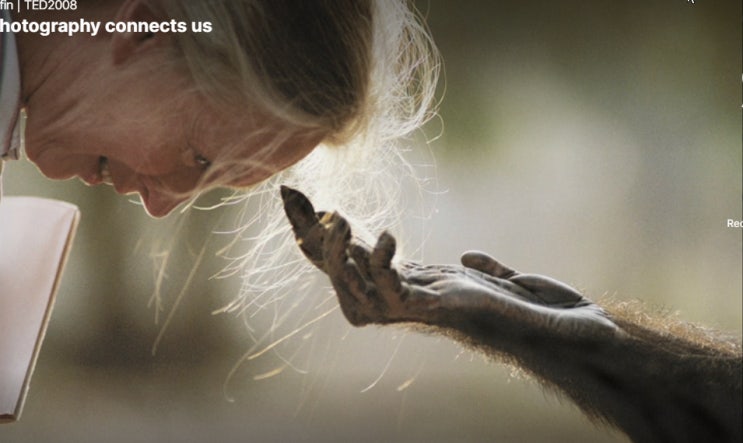 The Story behind Photograph ②, David Griffin : 네이버 블로그