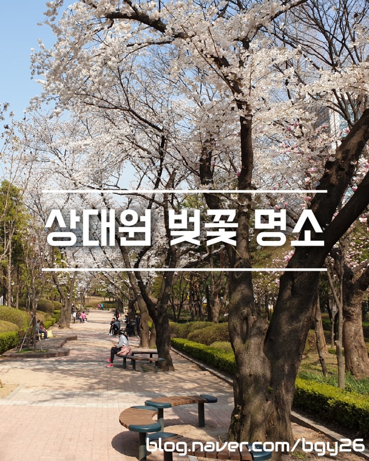 성남 벚꽃 8경 상대원 녹지대 3월 31일 네이버 블로그