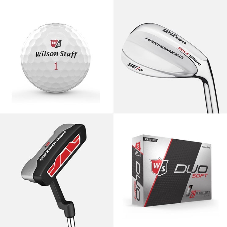 Wilson Golf at Home Package - Putter, Wedge, Golf Balls (윌슨) 홈 패키지-퍼터 ...