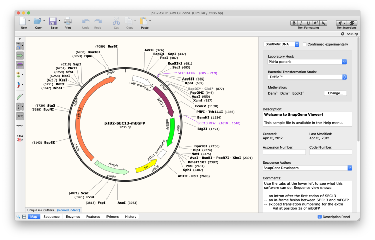 식물연구 인턴일기 :: 실험 전 필수 단계, SnapGene 소프트웨어로 Plasmid Map 미리보기 👀 : 네이버 블로그