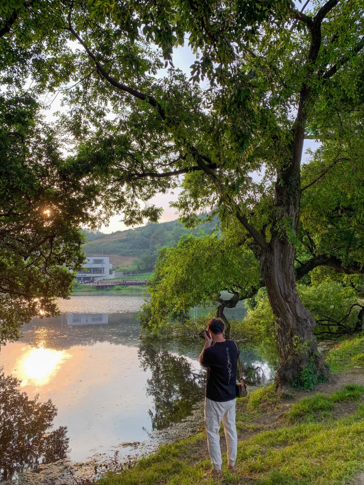 대구 근교 경산 가볼만한곳 반곡지 둘레길 함께 걸어요 네이버 블로그
