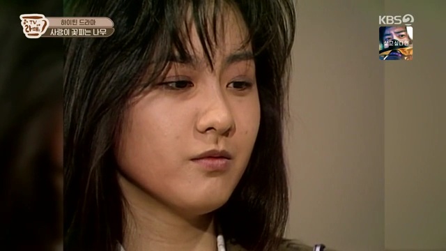 사랑이 꽃피는 나무 속 최수종-이미연 이후에는? : 네이버 블로그