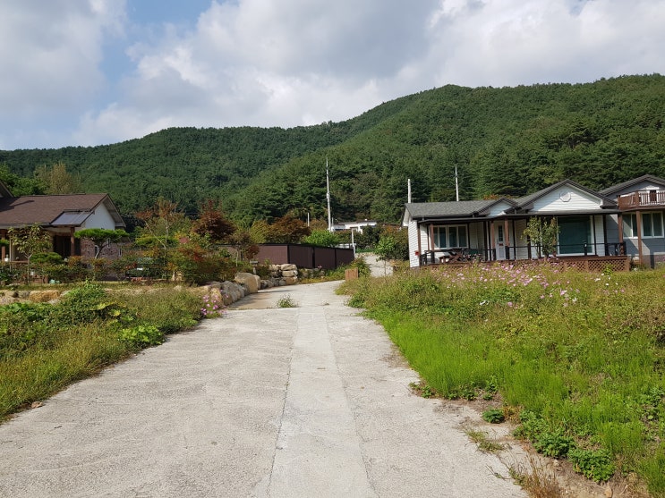 대구인근교청도1억원대남향땅토지전원주택지 따사로운기운 경제적인 땅 가창김소장 아임전원넷 아임부동산 네이버 블로그