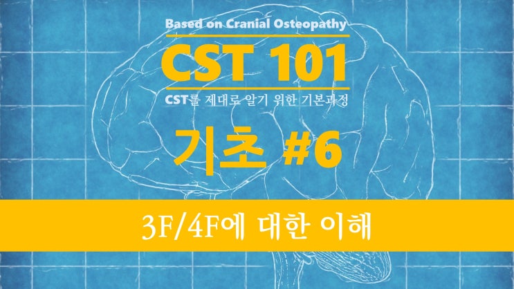 CST 101 #6 3F/4F에 대한 이해 : 네이버 블로그