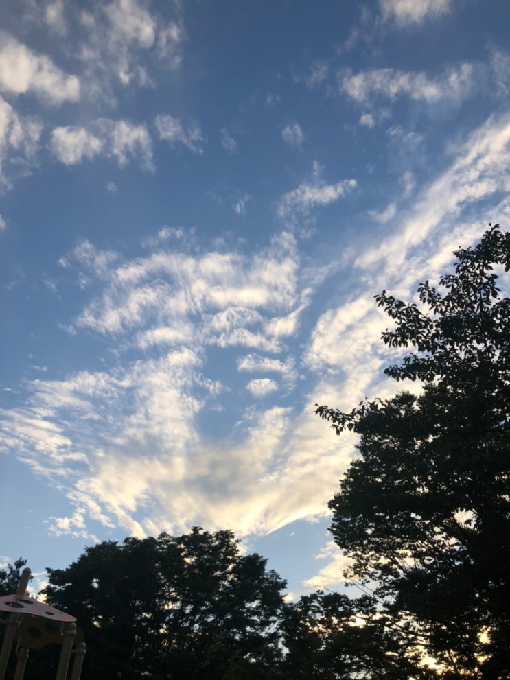 국제 도서 주간 독서 릴레이(feat. 케일리님) : 네이버 블로그