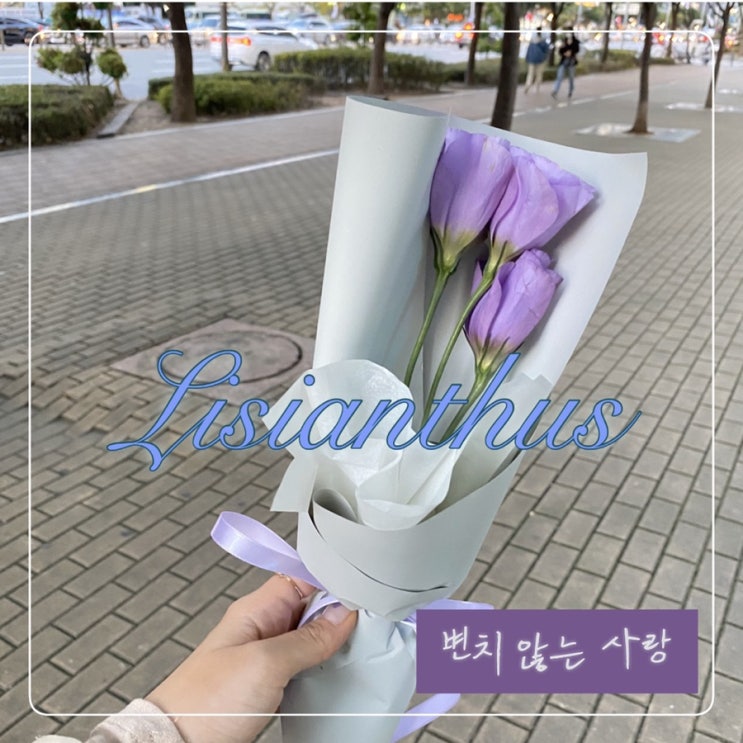 내돈내산 리시안셔스 꽃말 변치않는사랑 부천중동꽃집윤플라워리시안셔스타투 남자친구에게 꽃 선물 네이버 블로그