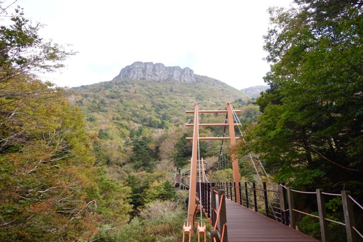 제주도 가을 한라산 등반 성판악 백록담정상 관음사 코스 난이도 소요시간 및 준비물 네이버 블로그