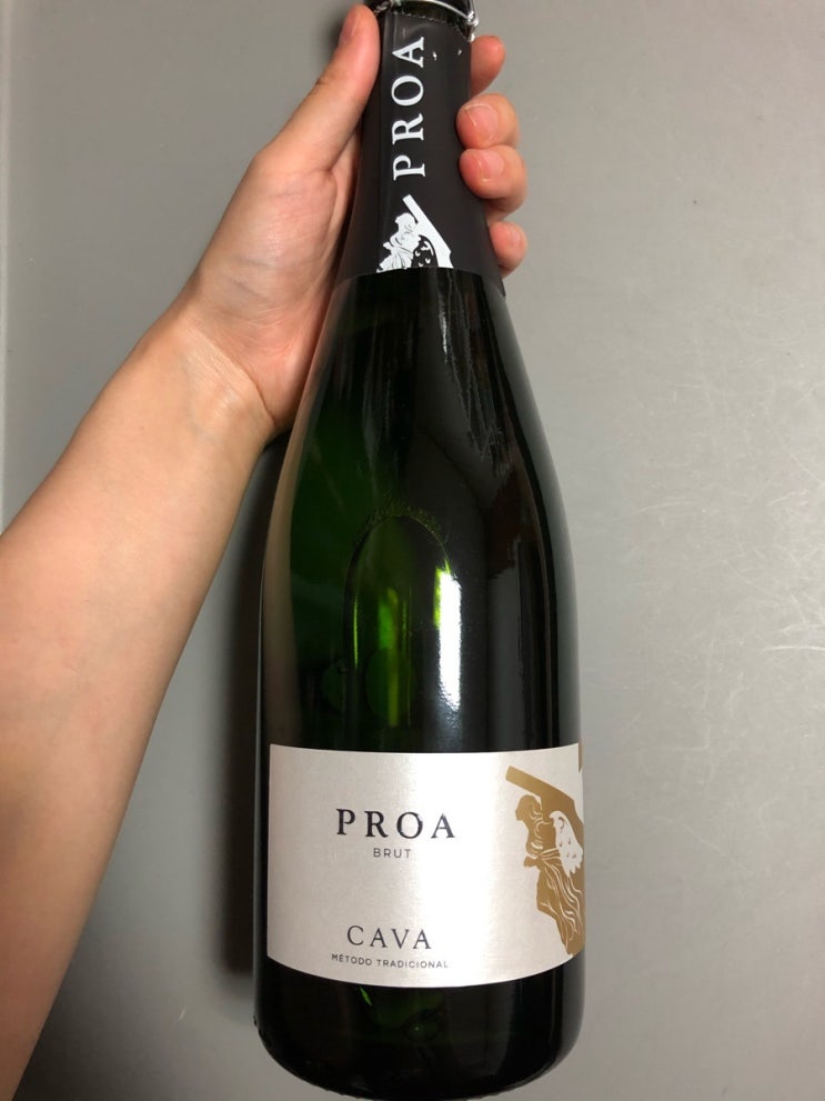 [공유] [스파클링] 프로아 까바 브뤼(Proa Cava Brut) - 와인21닷컴 : 네이버 블로그