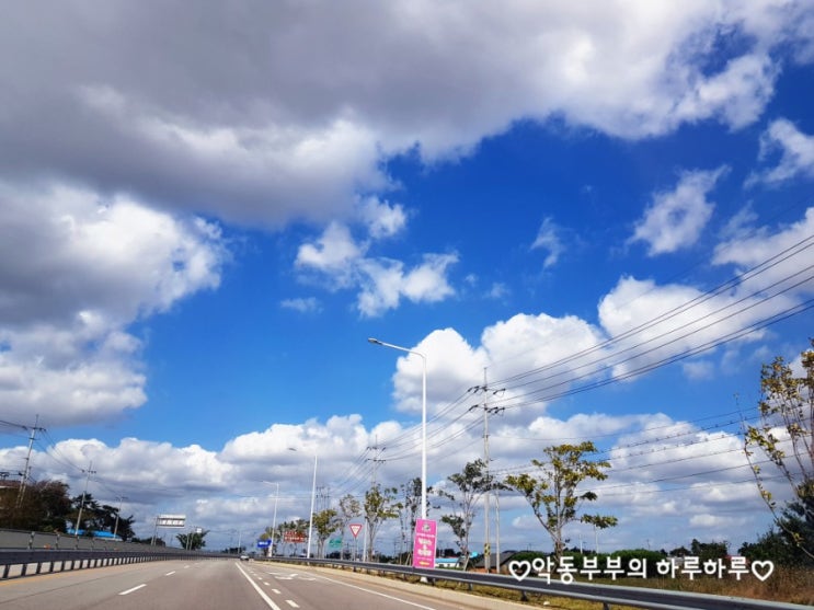 충남 태안 펜션 하나만 잡고 떠난 즉흥여행 당일치기 같은 1박2일 태안여행기 네이버 블로그