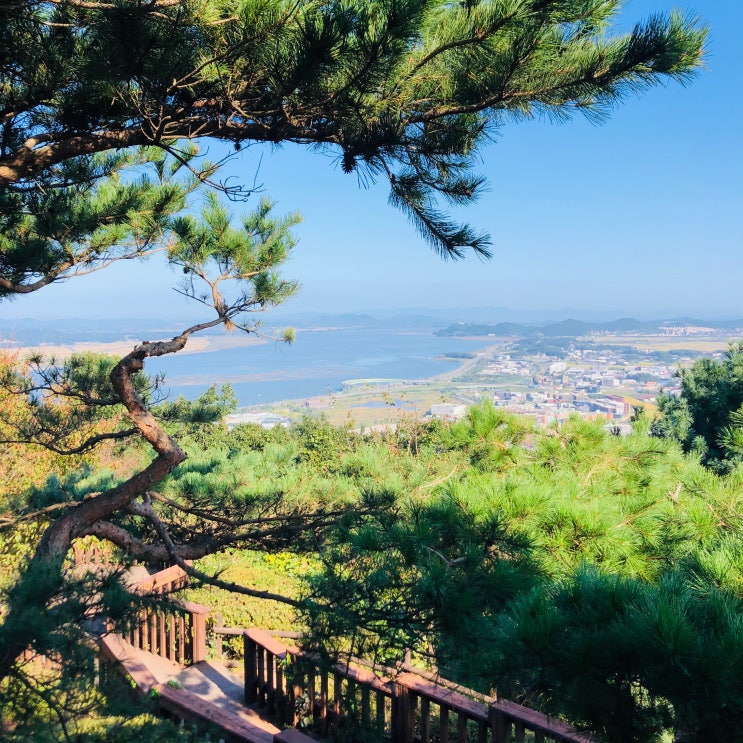 파주 등산 초보자에게 딱 좋은 심학산둘레길 코스 네이버 블로그