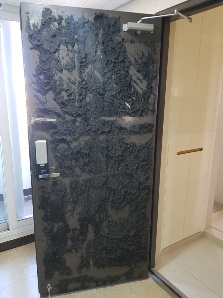 현관문 스티커제거 방음지제거 방음스펀지제거 끈끈이제게 시트지제거 24시 당일방문1544 4880 네이버 블로그