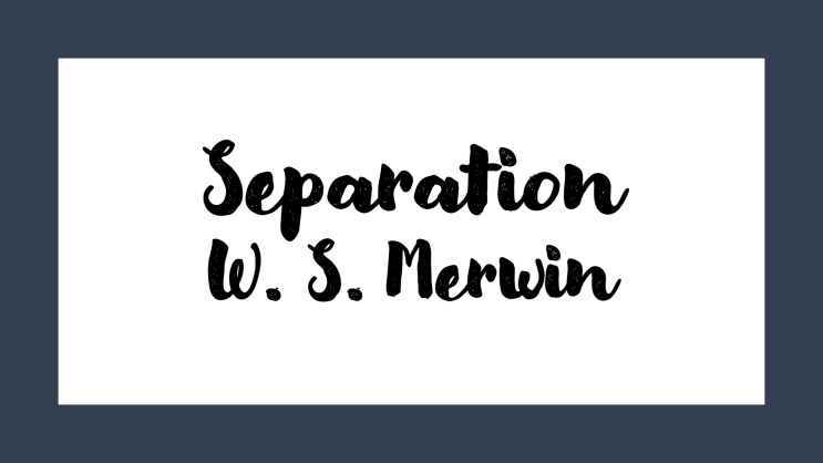 W. S. Merwin - Separation : 네이버 블로그
