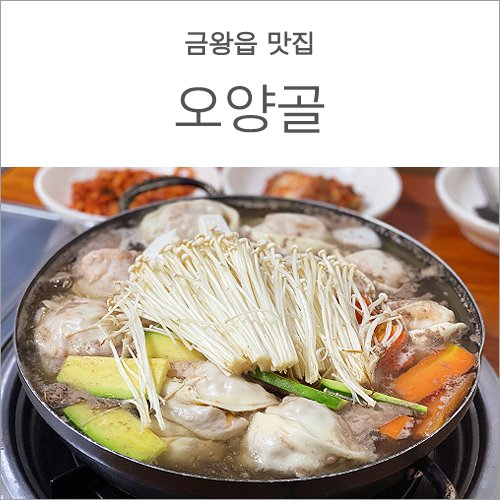 금왕읍 맛집 금왕 오양골 손만두 음성 만두전골은 여기가 탑 네이버 블로그