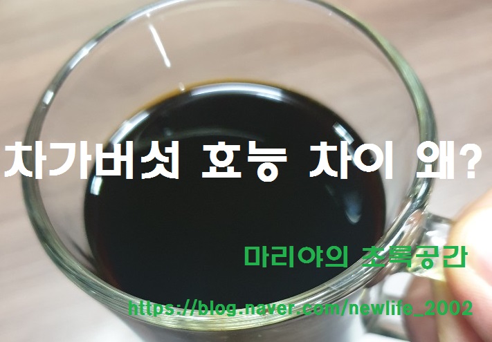 차가버섯 효능 왜 차가버섯분말에 따라 차이가 날까요 네이버 블로그