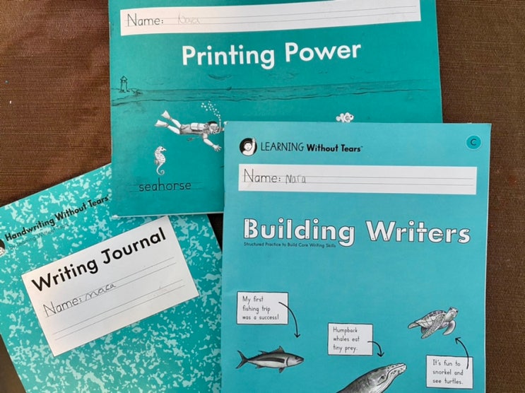 미국 영어 쓰기 연습 베스트로 꼽히는 Learning without tears 의 Printing power 리뷰/우리 애들 ...