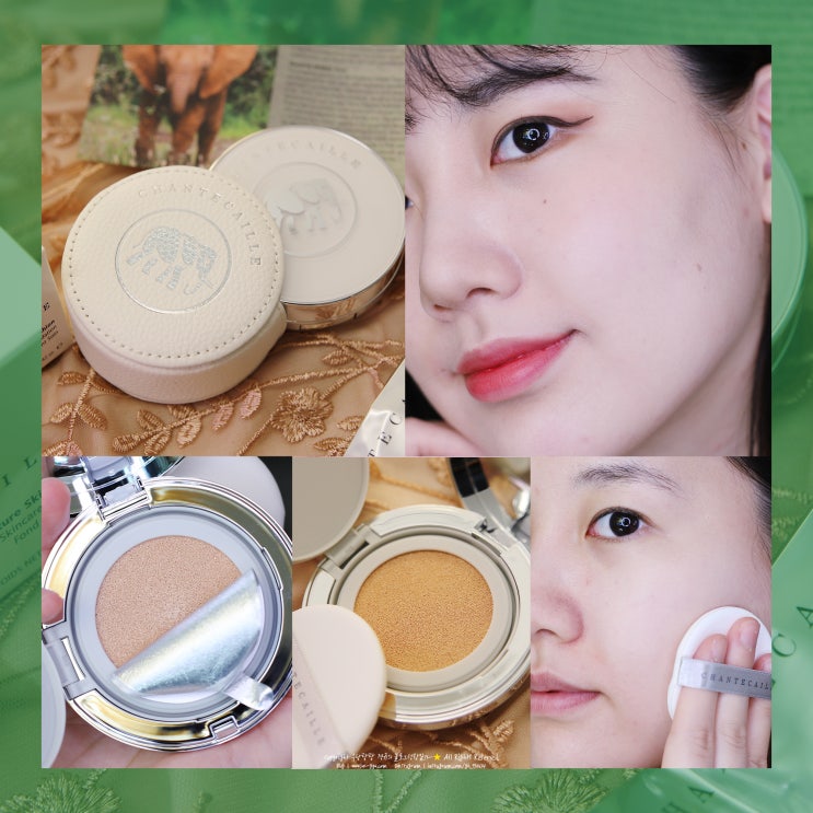 샹테카이 퓨처 스킨 쿠션 피부표현 이쁜 비건뷰티 쿠션추천해요 네이버 블로그