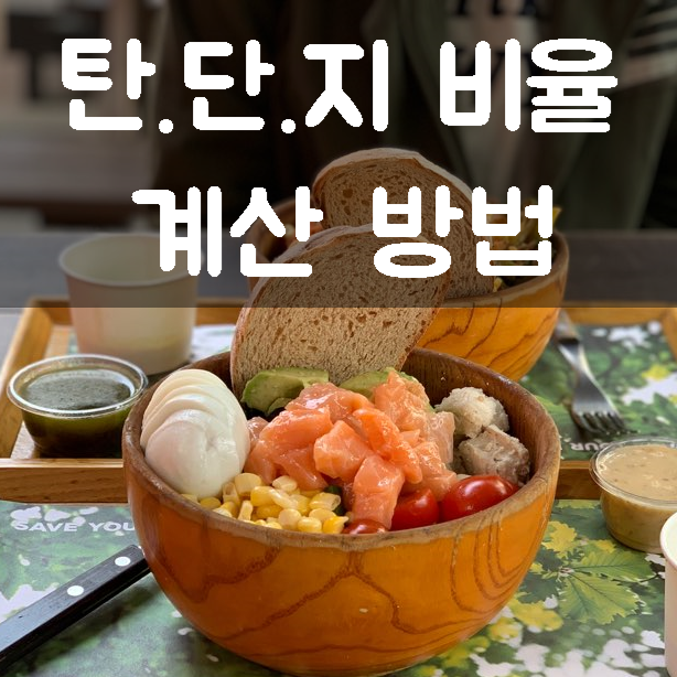 다이어트 탄단지 비율 계산방법 하루 단백질 섭취량은 어떻게 계산해야 할까 네이버 블로그