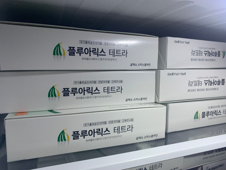 플루아릭스테트라 GSK독감백신 (차인표백신) 시작합니다 : 네이버 블로그