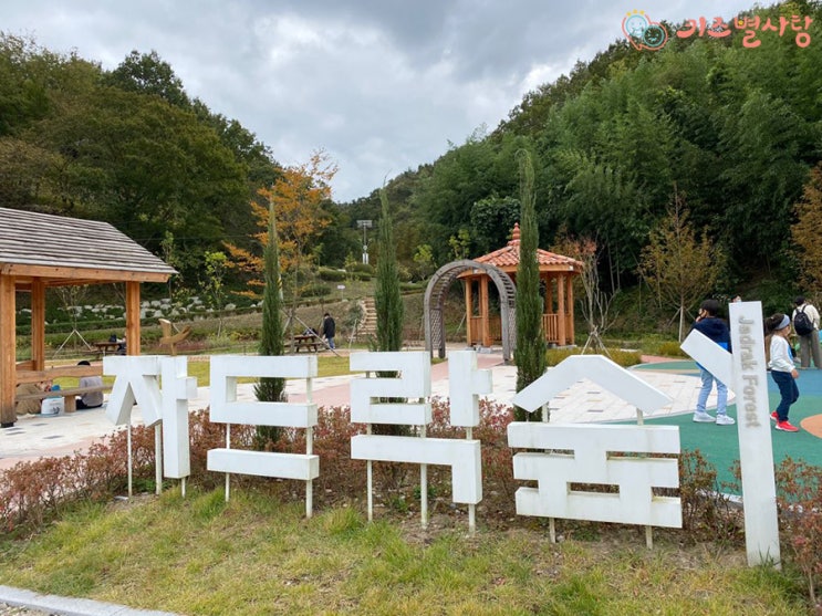 울산 아이와 가기 좋은 곳 울산 울주군 반구대 암각화와 자드락 숲에서 자연과 함께 뛰어놀아요공원 생태숲 자연 놀이터