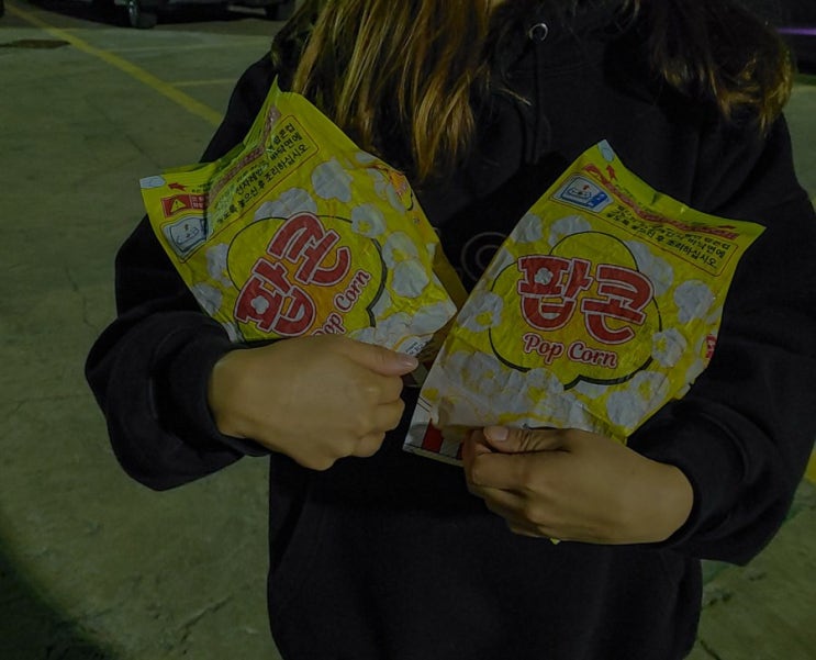 서울랜드 자동차극장 CGV × CAR CINEMA 카시네마 / 심야영화 : 네이버 블로그