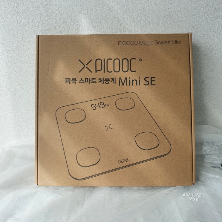 인바디 체중계 피쿡 Mini Se 직접 사용해본 후기 오차실험 네이버 블로그