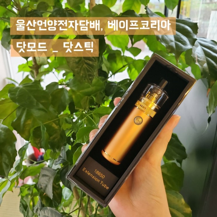 닷모드 닷스틱 입호흡 폐호흡 울산언양전자담배 베이프코리아 네이버 블로그