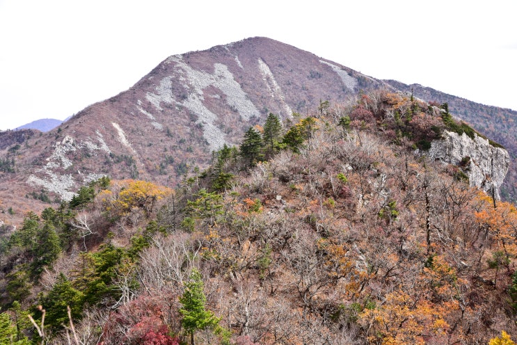 설악산 장수대 대승령 미답구간 탐방 및 서북능선1408봉 귀때기청봉 한계령삼거리 밟고 한계령으로 하산202010