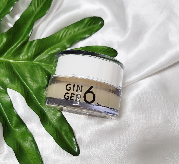 Ginger6 액티브워터크림 수분탱탱이 느껴지는 수탱크림이예요! : 네이버 블로그