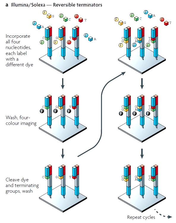 [gen] NGS (Next Generation Sequencing): 454, Solexa, SOLiD, Ion Torrent ...