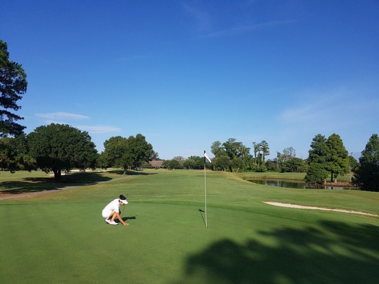 미국 플로리다_올랜도에서 골프 #dubsdread golf club : 네이버 블로그