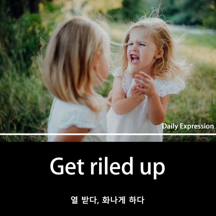 [20주년-Daily Expression] Get riled up 열 받다, 화나다 영어로 : 네이버 블로그